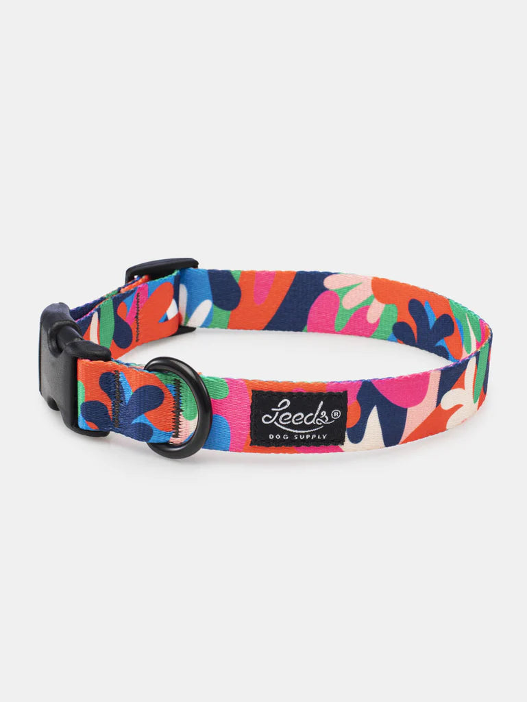 Leeds Jane Collar LG (18"-26") – DirtyDogs